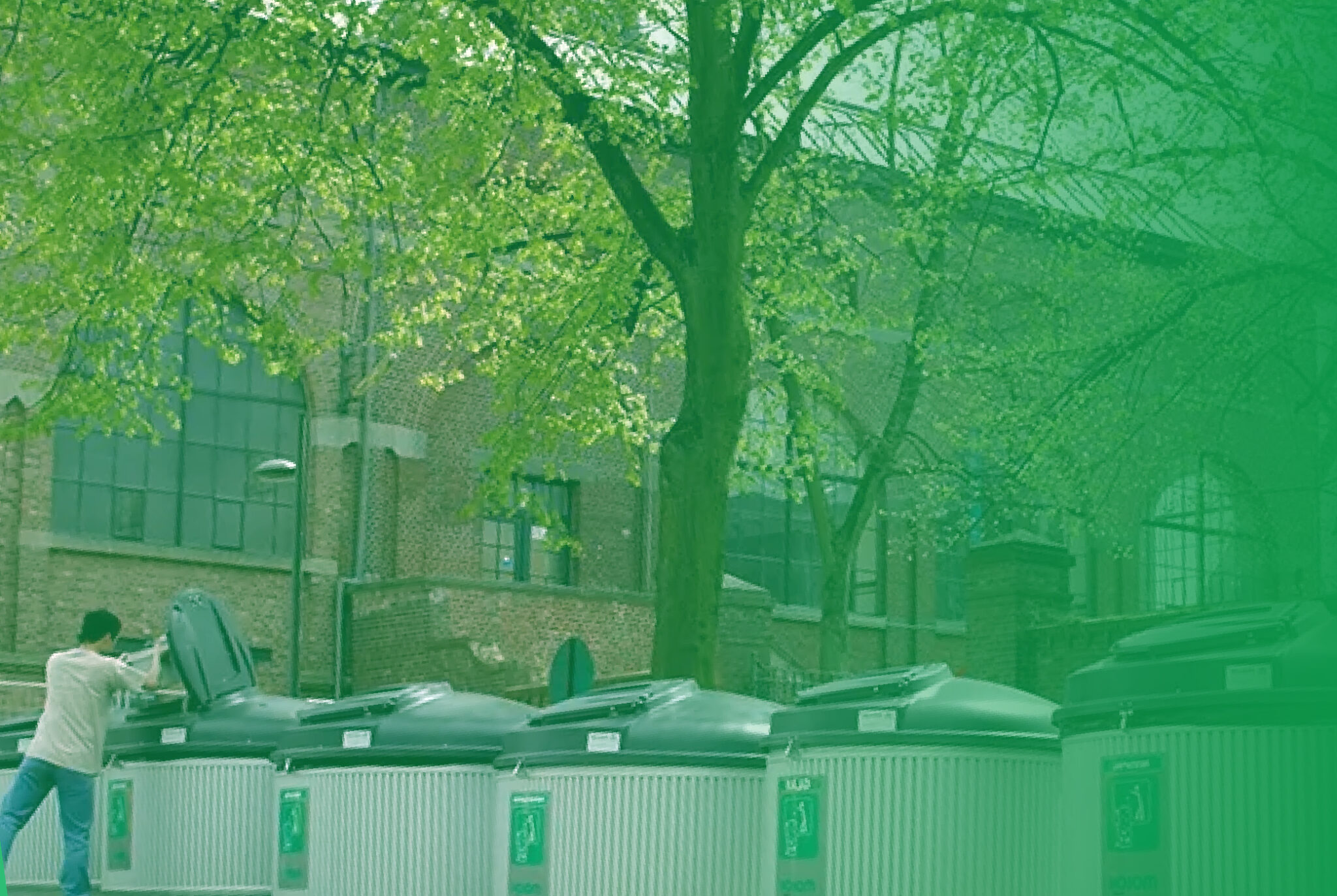 Facilities & Environments - Molokna